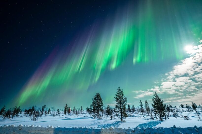 Tromsø: Private Tour with Guaranteed Northern Lights Viewing - Final Thoughts: Is It Worth It?