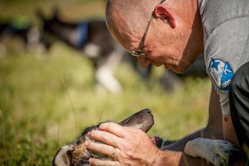 Tromsø: Puppy Training at the Husky Kennel with Lunch - Who Should Consider This Tour?