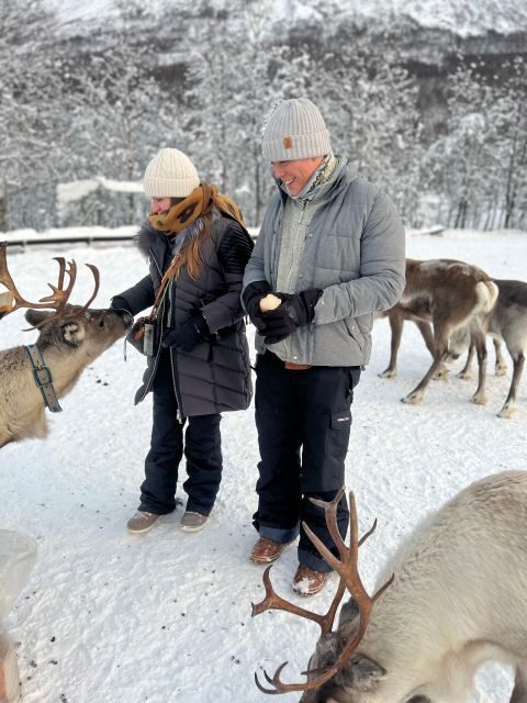 Tromsø: Reindeer Experience at a Sami Camp - An In-Depth Look at the Tour