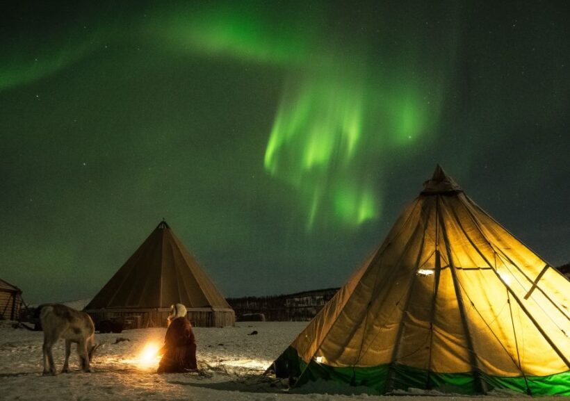 Tromsø: Reindeer Feeding with Chance of Northern Lights - A Deep Dive into the Experience