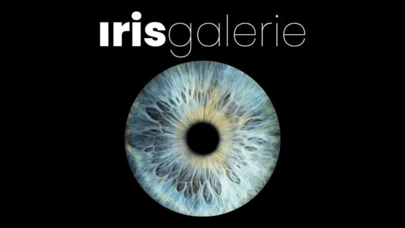 Tromsø: Reveal Your Eye Experience at the Iris Galerie - An Introduction to the Iris Experience in Tromsø