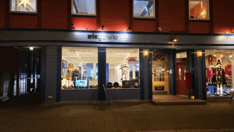 Tromsø: Reveal Your Eye Experience at the Iris Galerie - The Sum Up: Who Should Consider This Experience?