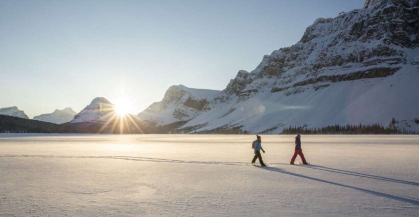 Tromso: Scenic & Eco-Friendly Snowshoeing Tour - The Sum Up: Who Will Love This Tour?