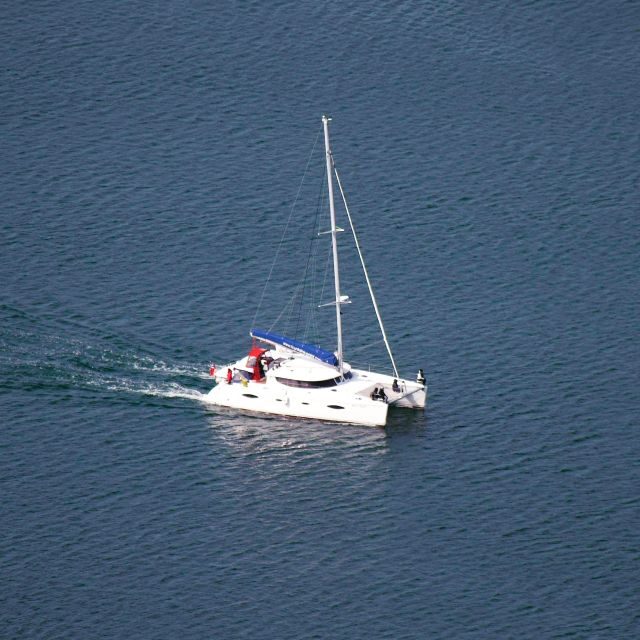 Tromso: Sightseeing Cruise by Catamaran with Snacks & Drinks - Practical Tips for a Smooth Trip