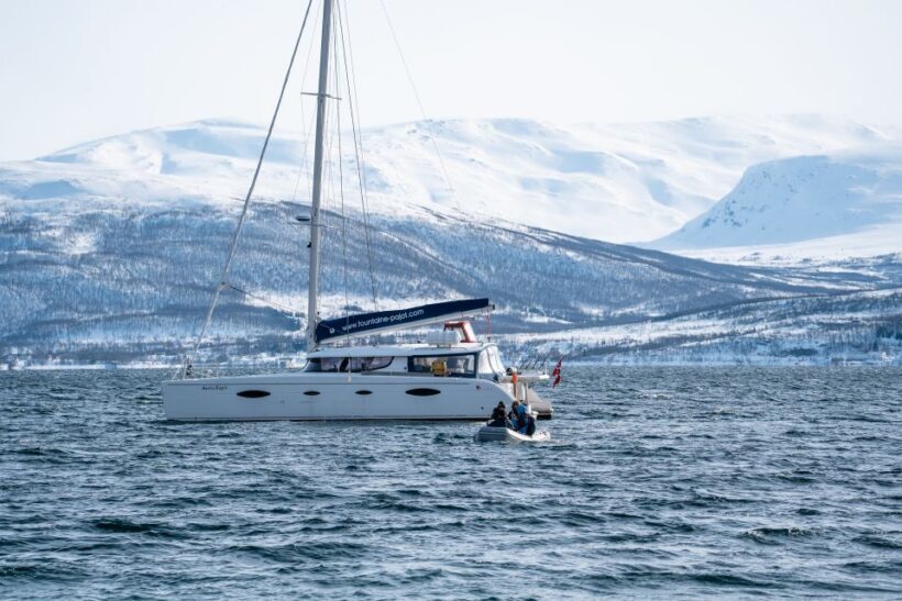 Tromso: Sightseeing Cruise by Catamaran with Snacks & Drinks - The Sum Up