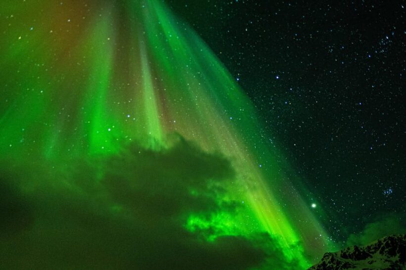 Tromsø: Small-Group Adventurous Northern Lights Hunt - Transportation and Comfort