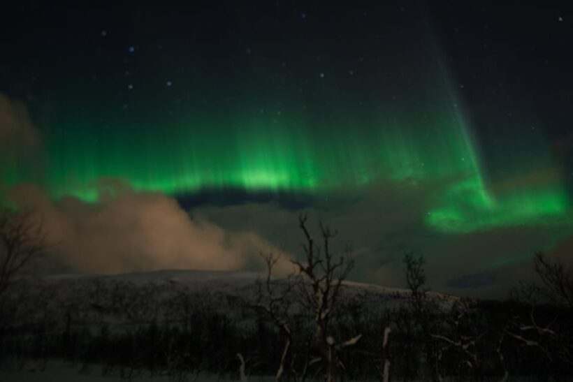 Tromsø: Small-Group Adventurous Northern Lights Hunt - The Experience in Review: Authentic Insights from Travelers