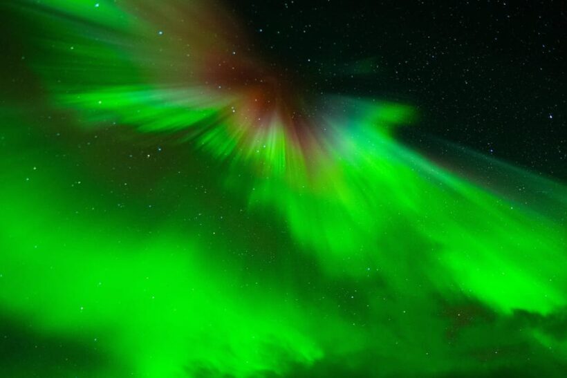 Tromsø: Small-Group Adventurous Northern Lights Hunt - The Bottom Line