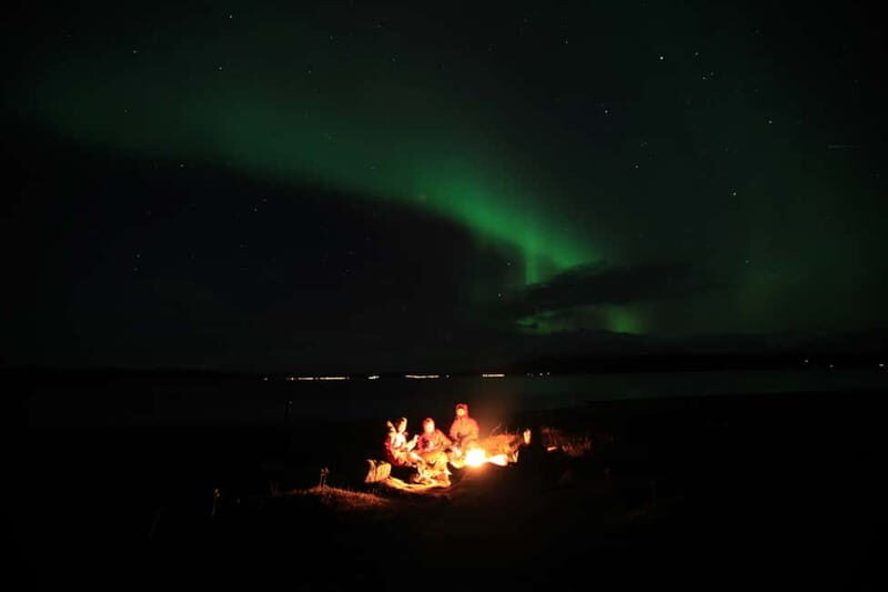 Tromsø: Small Group Northern Lights Hunt - Final Thoughts: Who Should Consider This Tour?