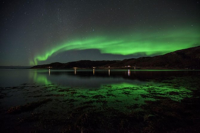 Tromsø: Small Group Northern Lights Hunt - The Northern Lights Experience