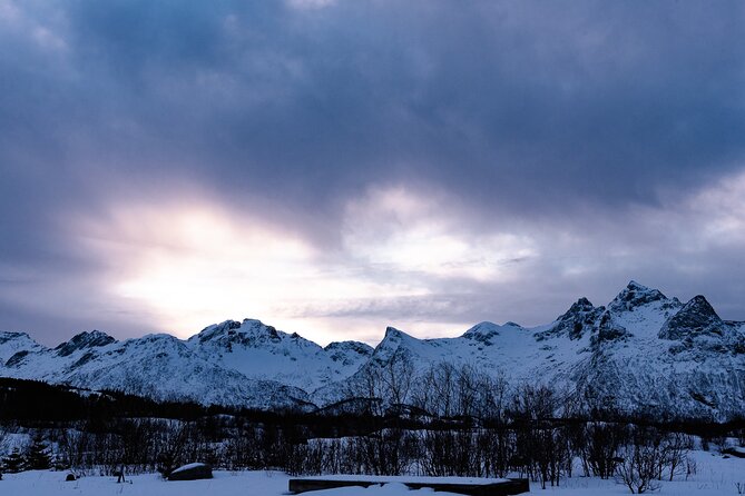Tromso-Snowshoeing Excursion to Viewpoint - Authentic Experiences and Traveler Feedback