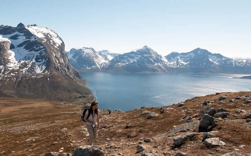 Tromsø: Summer Day Hike in the wilderness - The Real Benefits for Travelers
