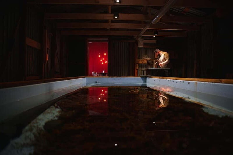 Tromsø: Tasty King Crab Adventure - Price and Value