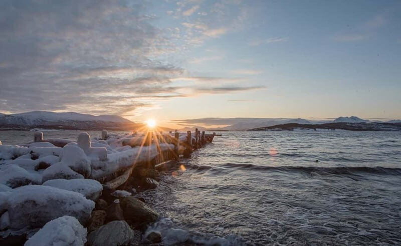 Tromsø: Winter Fjord Road Trip with Citizen Science - Key Points