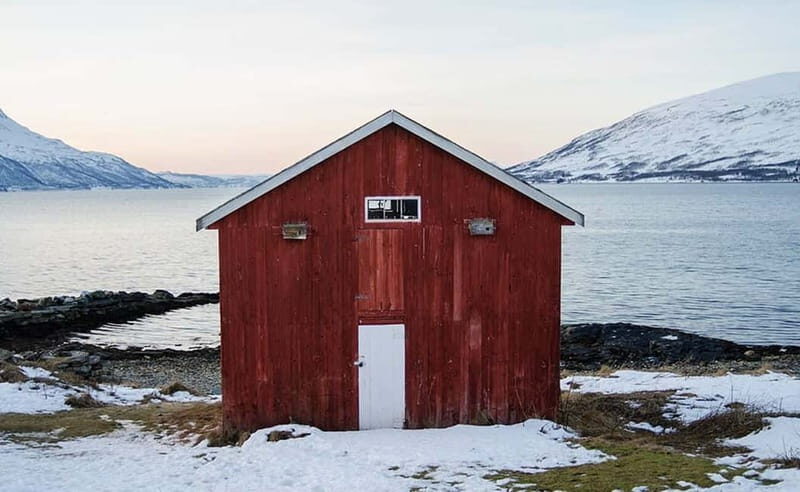 Tromsø: Winter Fjord Road Trip with Citizen Science - Pricing and Value