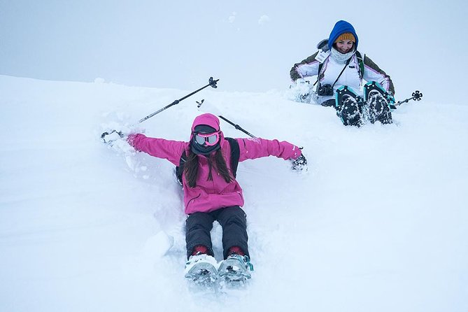 Tromsø: Winter Snowshoeing with Wandering Owl - What You Need to Know