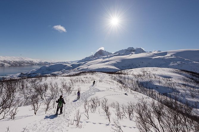 Tromsø: Winter Snowshoeing with Wandering Owl - Authentic Experience and Personal Touches