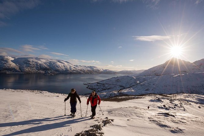 Tromsø: Winter Snowshoeing with Wandering Owl - Frequently Asked Questions