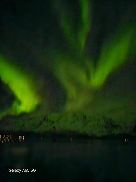 Tromsø:Northern light tour with mini bus i Tromsø - Wrapping Up