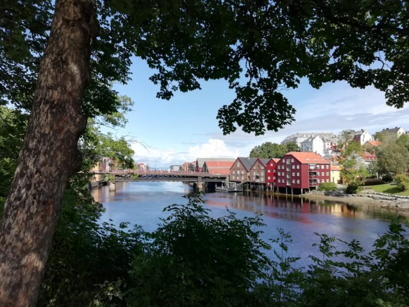 Trondheim : Explore the city of kings with a local guide - An Honest Look at the Trondheim City Walk