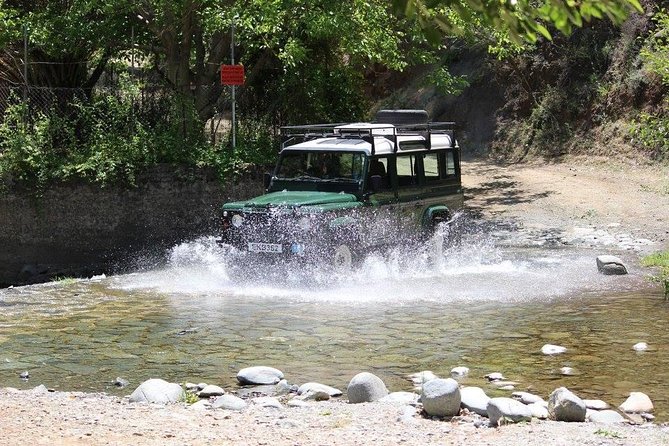 Troodos Jeep Safari: A Comprehensive Review - Accessibility and Group Size