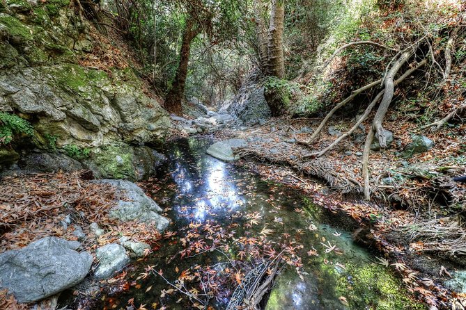 Troodos Jeep Safari from Protaras,Ayia napa & Larnaca - The Sum Up: Is This Tour Worth Your Time?