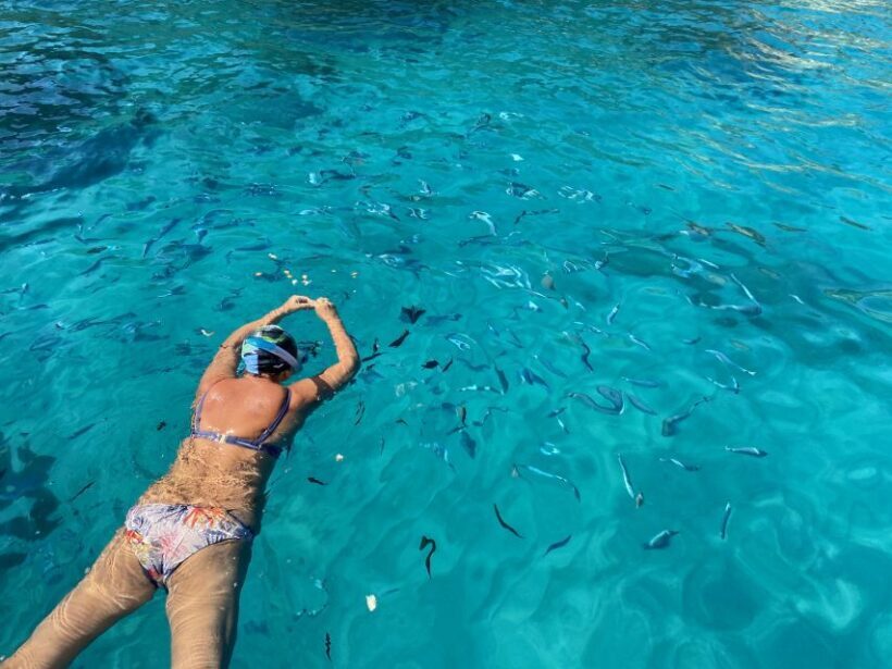 Tropea: Capo Vaticano Boat Trip with Snorkeling & Drink - Who Will Enjoy This Experience?