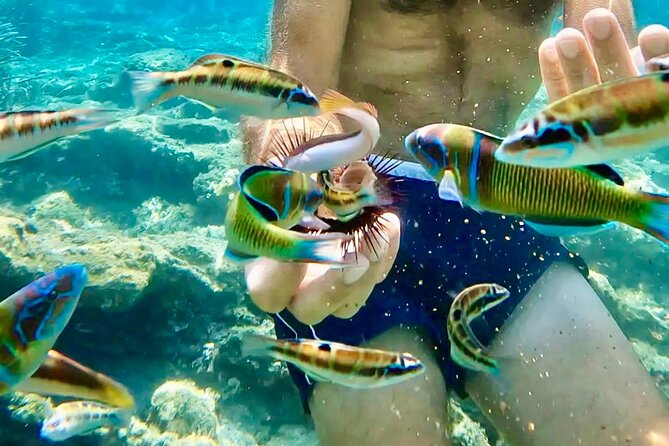 Tropea, Exclusive Tour 15-Meter Sailing Boat - 4 H With Aperitif - Reviews and Highlights