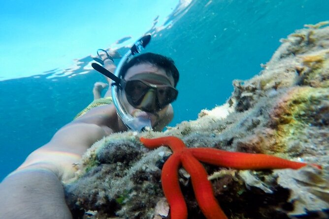 Tropea private boat tour - The Sum Up: Is This the Right Tour for You?