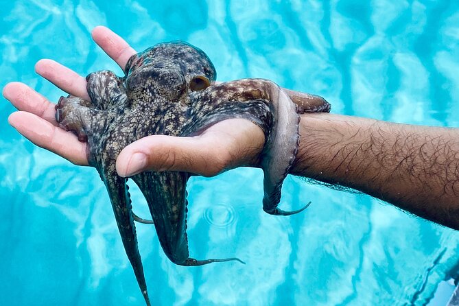 Tropea - Santa Domenica - Capo Vaticano - Accessibility and Suitability