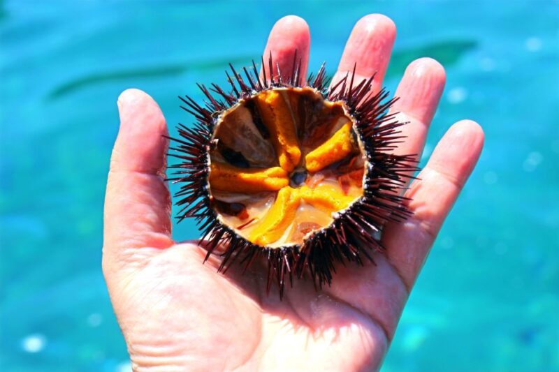 Tropea: Scoglio delle Sirene Snorkeling Cruise with Aperitif - Final Thoughts: Is It Worth It?