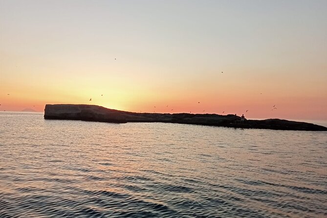 Tropea Zambrone Exclusive Boat Tour - FAQ — Your Practical Questions Answered