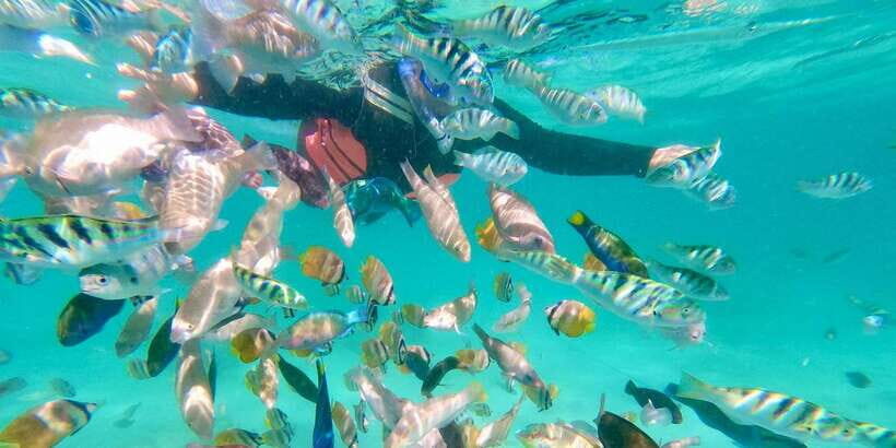 Tropical Escape: South East Lombok Beach & Snorkeling - The Value of This Tour