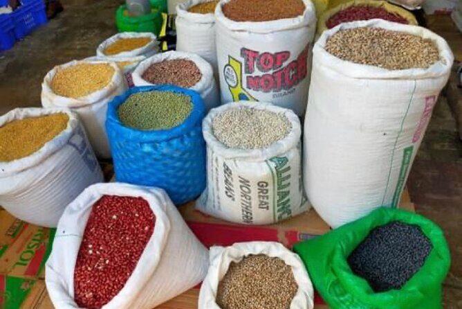 Tropical Escape Tour - Key Points