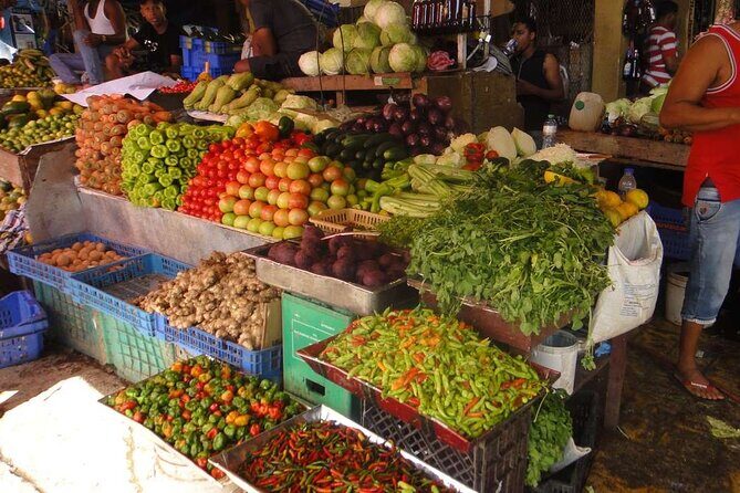 Tropical Escape Tour - Who Should Take This Tour?