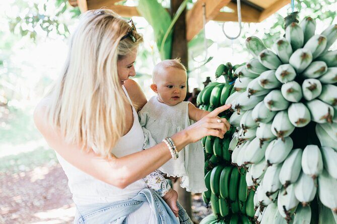 Tropical Fruit World Farm Full Tour - A Deep Dive into the Tropical Fruit World Full Tour