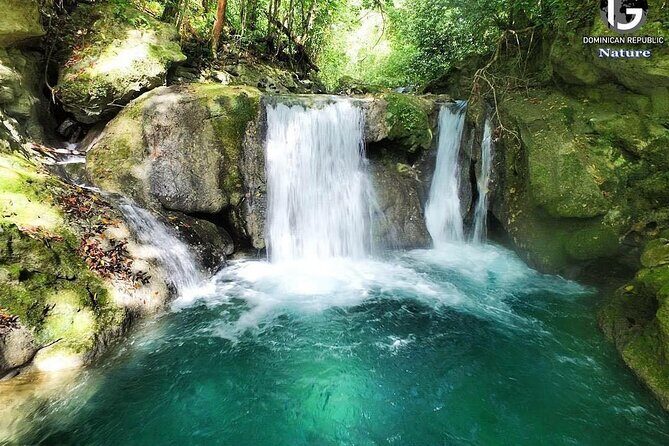 Tropical Lifestyle Puerto Plata - Private Transfer - What to Expect from the Tropical Lifestyle Puerto Plata Private Transfer