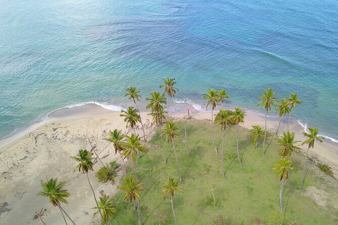 Tropical Quads (2 PERSONS PER QUADS ) - FAQ