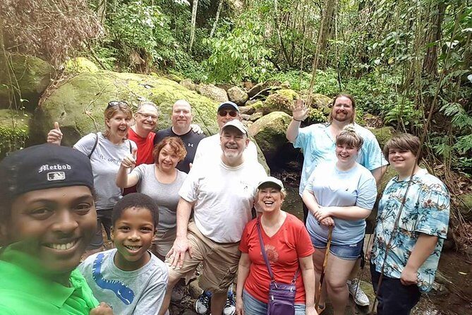 Tropical Rain Forest Explorer Hike In St. Kitts - Who Should Consider This Tour?