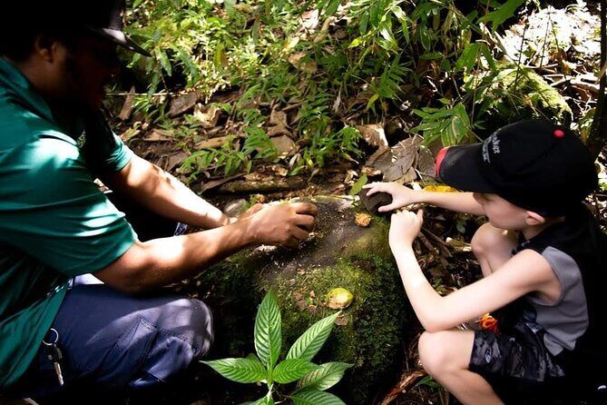 Tropical Rain Forest Explorer Hike In St. Kitts - Final Thoughts