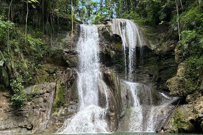 Tropical Rainforest Luxury Experiences - A Deep Dive into the Tour Experience