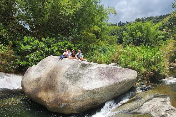 Tropical Rainforest Waterfalls & Panoramic Views Experience - FAQ