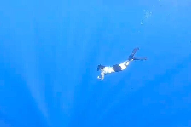 Tropical Reef & Wildlife Boat Snorkel Adventure - Who Should Consider This Tour?