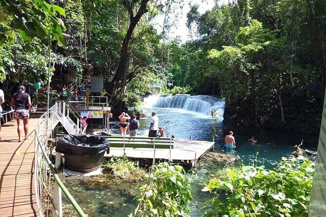 Tropical Splash Tour - Why This Tour Is Worth Considering