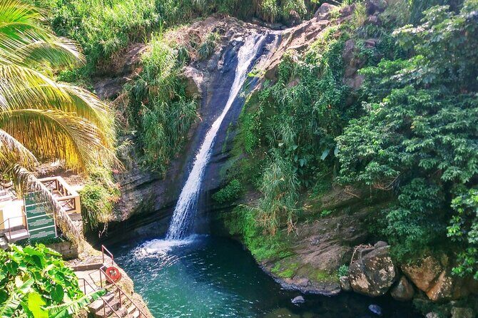 "Tropically Yours" - Authenticity and Traveler Feedback