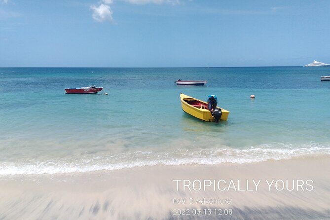 "Tropically Yours" - Who Will Love This Tour?