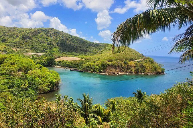 "Tropically Yours" - FAQ