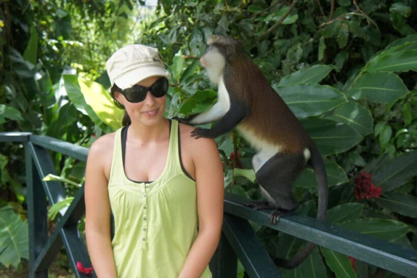 "Tropically Yours" Waterfall Nature Hike. - Key Points