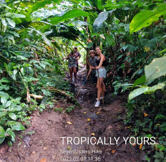"Tropically Yours" Waterfall Nature Hike. - An Overview of the Tour Experience