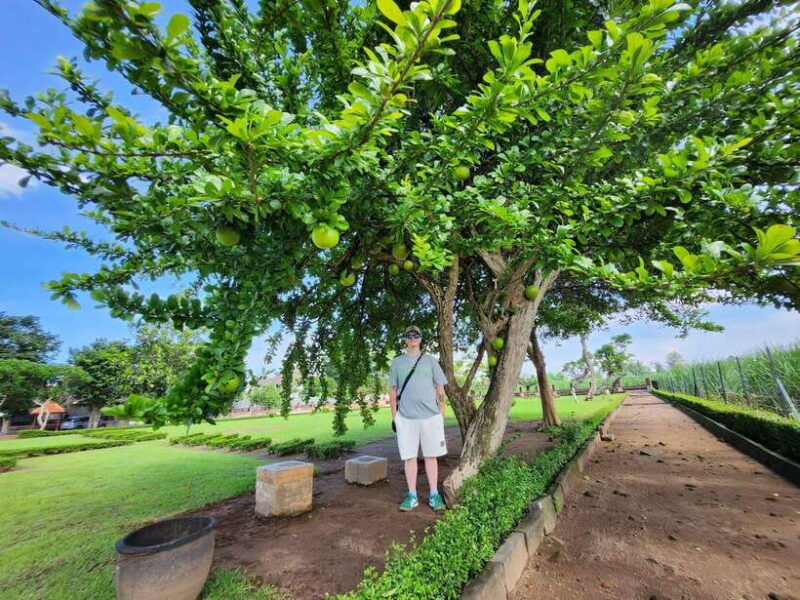 Trowulan Tour Ruin of Majapahit Kingdom - The Experience: What Travelers Say